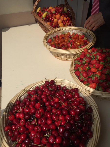 COLLEGE MOREAU - Actualités - Goûter dégustation de fruits